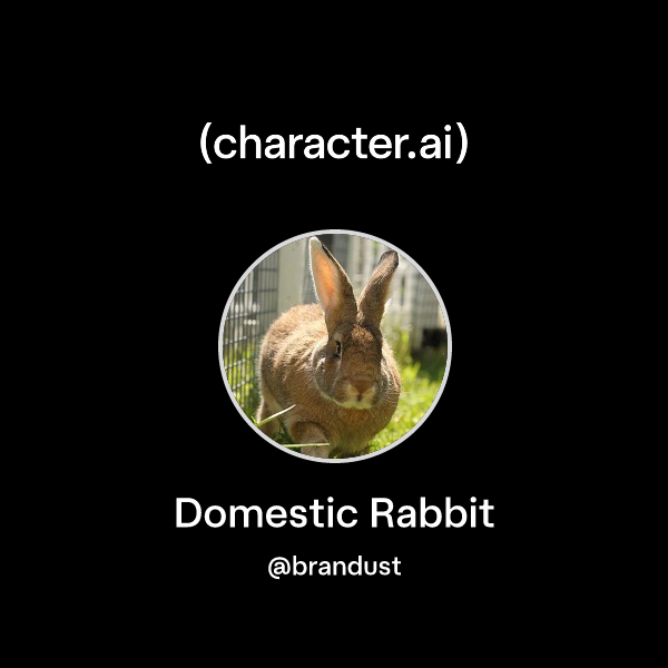 Chat with Domestic Rabbit | character.ai | Personalized AI for every ...