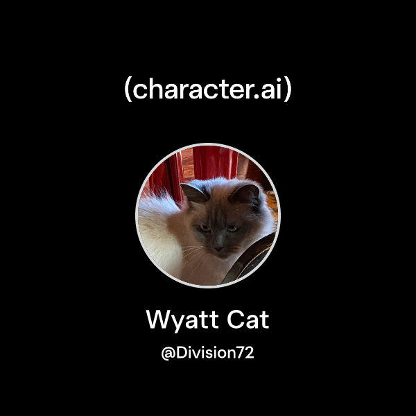 Chat with Wyatt Cat | character.ai | AI Chat, Reimagined–Your Words. Your World.