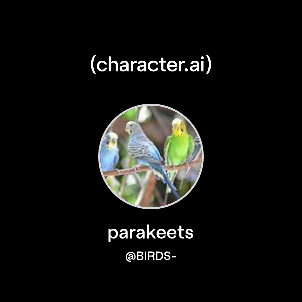 Chat with parakeets | character.ai | Personalized AI for every moment ...