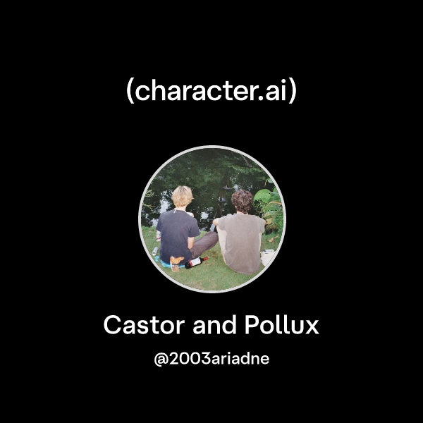Chat with Castor and Pollux | character.ai | AI Chat, Reimagined–Your ...