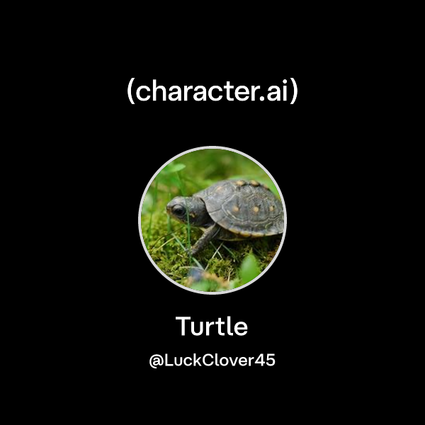 Chat with Turtle | character.ai | Personalized AI for every moment of ...