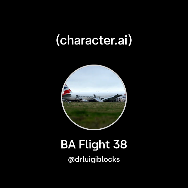 Chat with BA Flight 38 | character.ai | Personalized AI for every ...