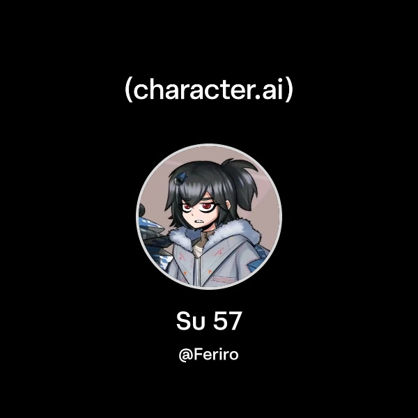 Chat with Su 57 | character.ai | Personalized AI for every moment of ...