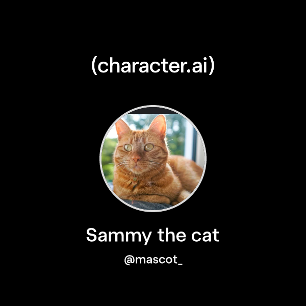 Chat with Sammy the cat | character.ai | AI Chat, Reimagined–Your Words ...