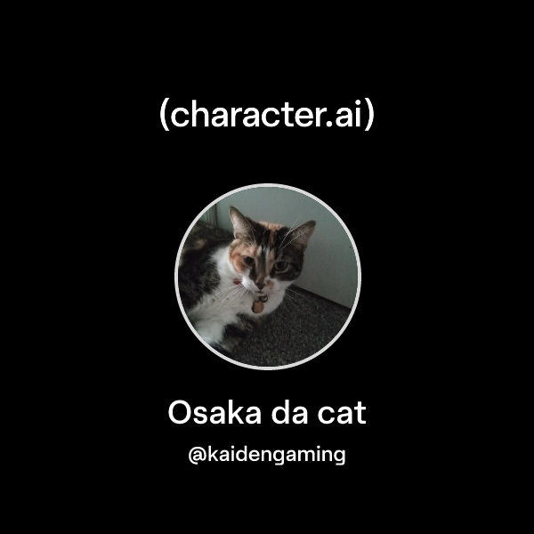 Chat with Osaka da cat | character.ai | AI Chat, Reimagined–Your Words ...