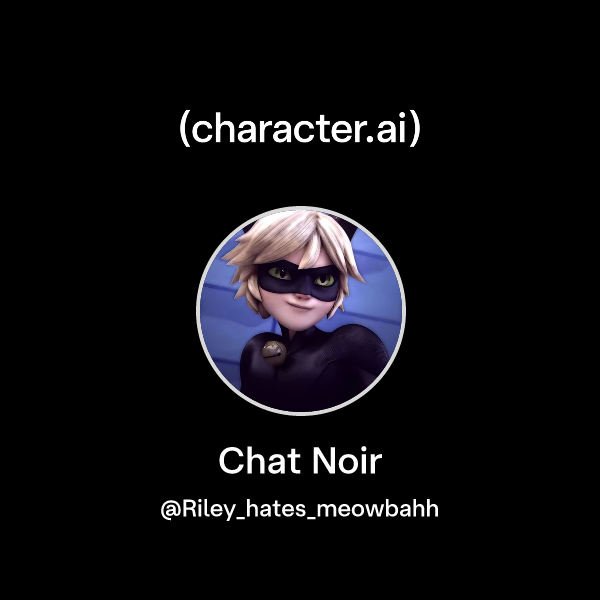 Chat with Chat Noir | character.ai | Personalized AI for every moment ...