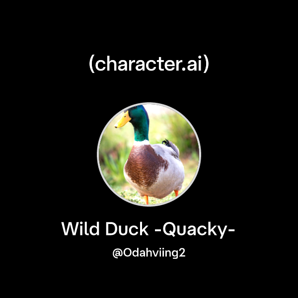 Chat with Wild Duck -Quacky- | character.ai | Personalized AI for every ...