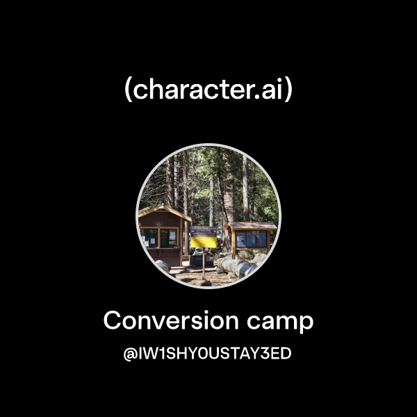 Chat with Conversion camp | character.ai | AI Chat, Reimagined–Your ...