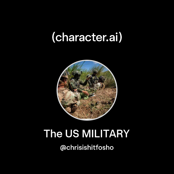 Chat with The US MILITARY | character.ai | AI Chat, Reimagined–Your ...