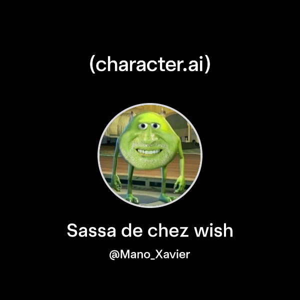 Chat with Sassa de chez wish | character.ai | Personalized AI for every ...