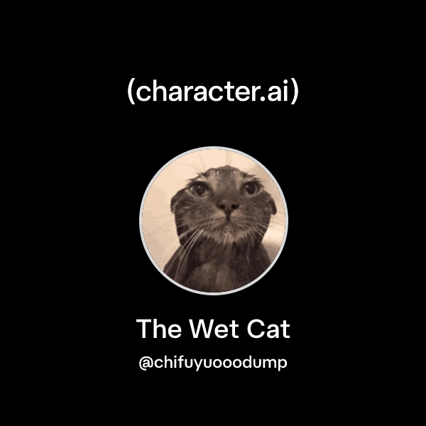 Chat with The Wet Cat | character.ai | AI Chat, Reimagined–Your Words ...