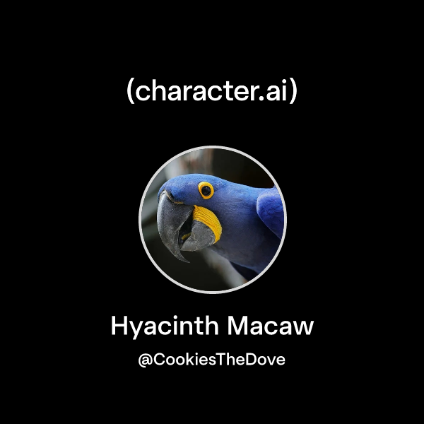 Chat with Hyacinth Macaw | character.ai | AI Chat, Reimagined–Your Words. Your World.
