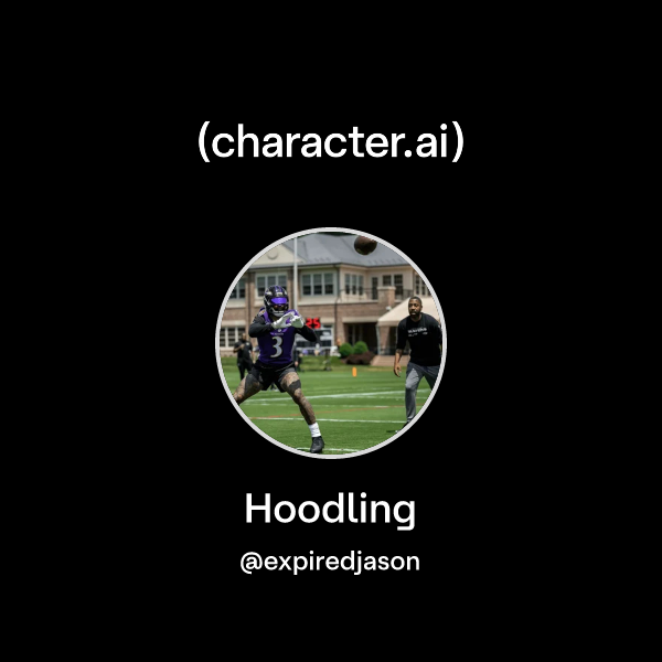 Chat with Hoodling | character.ai | Personalized AI for every moment of ...