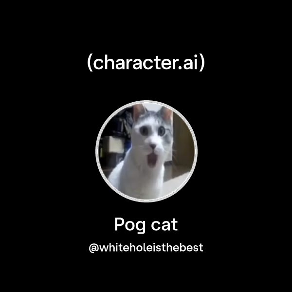 Chat with Pog cat | character.ai | AI Chat, Reimagined–Your Words. Your ...