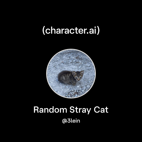 Chat with Random Stray Cat | character.ai | AI Chat, Reimagined–Your ...