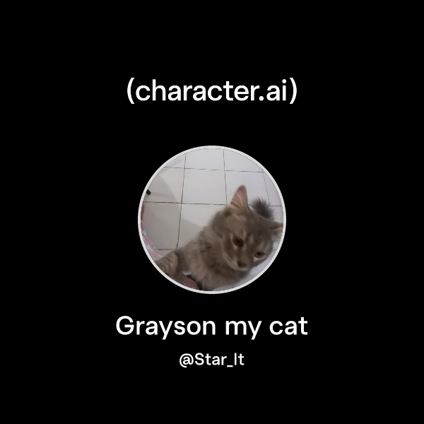 Chat with Grayson my cat | character.ai | AI Chat, Reimagined–Your ...