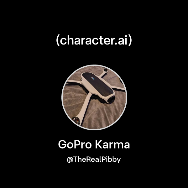 Chat with GoPro Karma | character.ai | AI Chat, Reimagined–Your Words ...