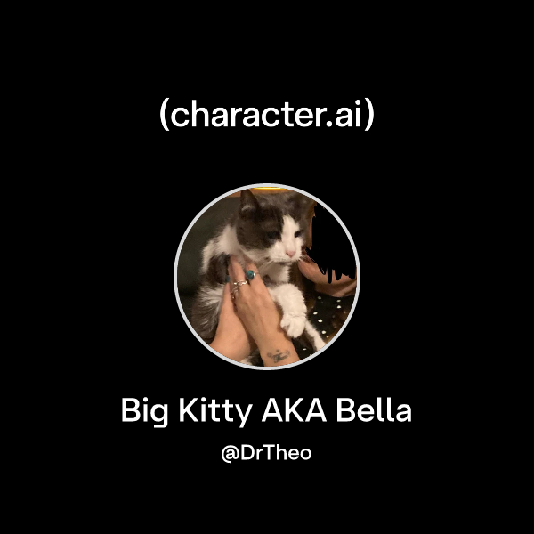 Chat with Big Kitty AKA Bella | character.ai | Personalized AI for every moment of your day