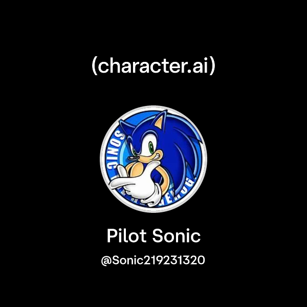 Chat with Pilot Sonic | character.ai | Personalized AI for every moment ...