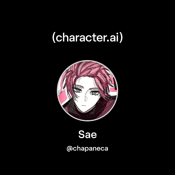 Chat with Sae | character.ai | Personalized AI for every moment of your day