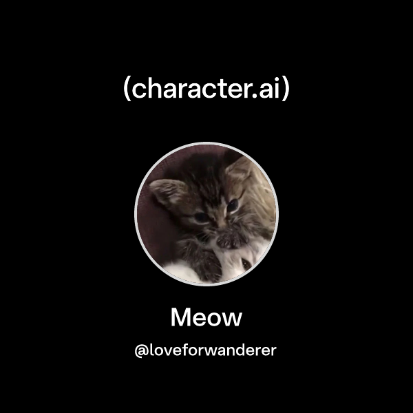 Chat with Meow | character.ai | Personalized AI for every moment of your day