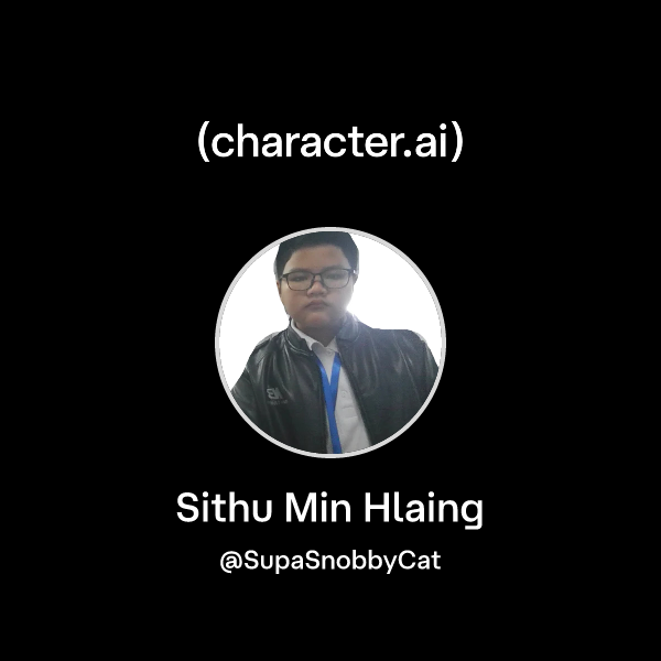 Chat with Sithu Min Hlaing | character.ai | AI Chat, Reimagined–Your ...