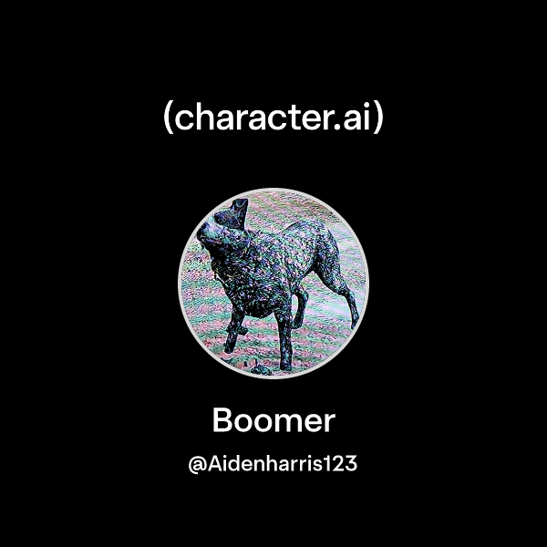 Chat with Boomer | character.ai | Personalized AI for every moment of ...