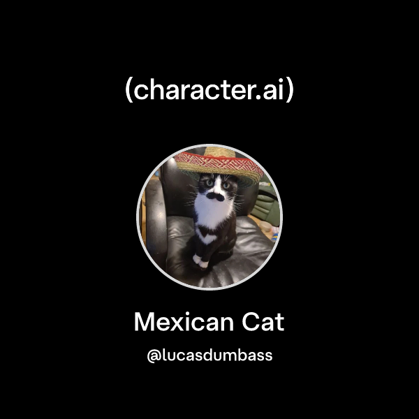Chat with Mexican Cat | character.ai | AI Chat, Reimagined–Your Words ...