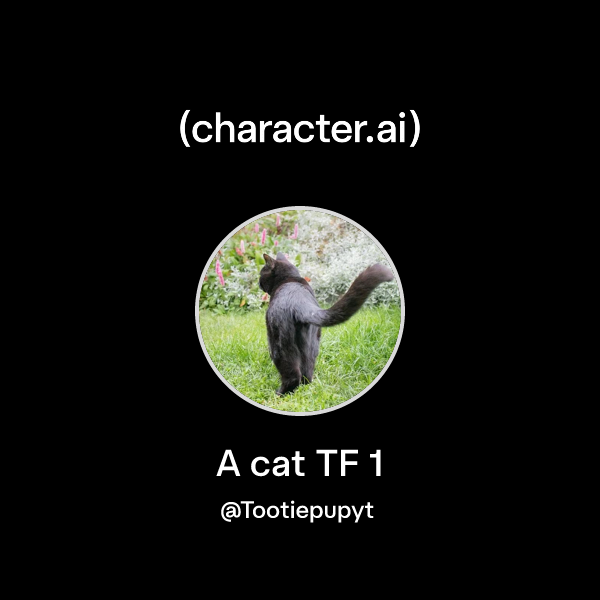 Chat with A cat TF 1 | character.ai | AI Chat, Reimagined–Your Words ...