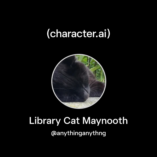 Chat with Library Cat Maynooth | character.ai | Personalized AI for ...