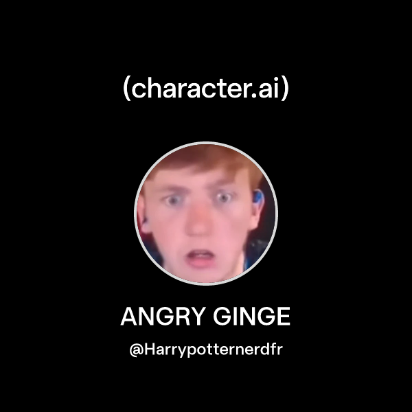 Chat with ANGRY GINGE | character.ai | Personalized AI for every moment ...