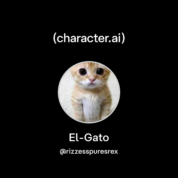 Chat with El-Gato | character.ai | AI Chat, Reimagined–Your Words. Your ...