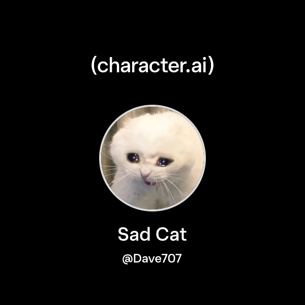 Chat with Sad Cat | character.ai | AI Chat, Reimagined–Your Words. Your ...