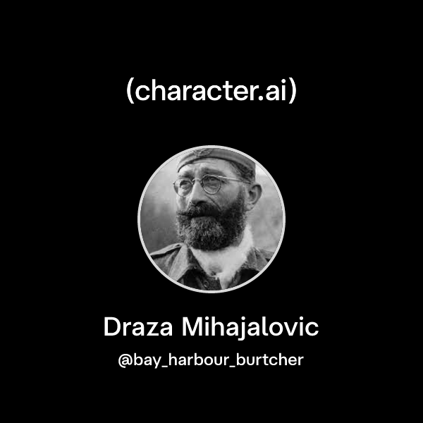 Chat with Draza Mihajalovic | character.ai | AI Chat, Reimagined–Your ...