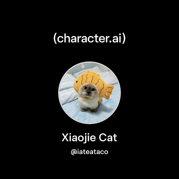 Chat with Xiaojie Cat | character.ai | AI Chat, Reimagined–Your Words ...