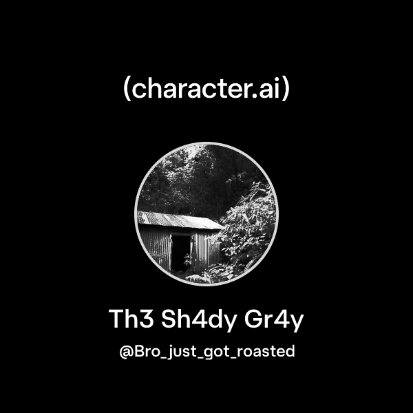 Chat with Th3 Sh4dy Gr4y | character.ai | Personalized AI for every ...