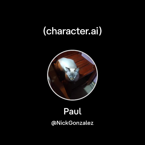 Chat with Paul | character.ai | Personalized AI for every moment of ...