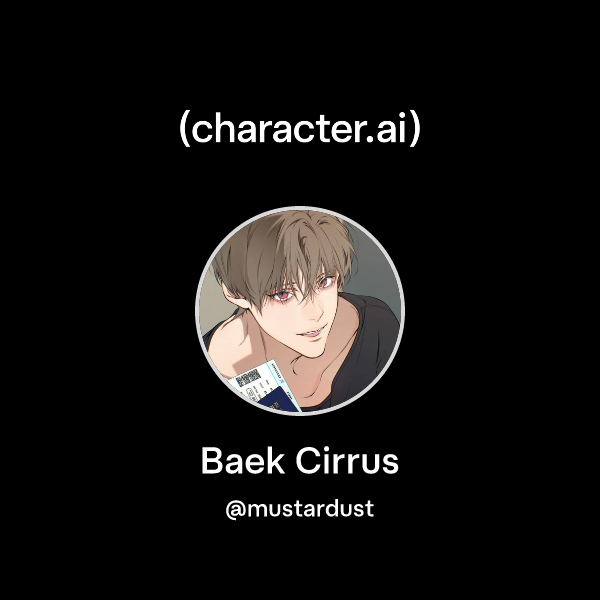 Chat with Baek Cirrus | character.ai | Personalized AI for every moment ...