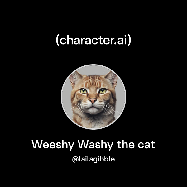 Chat with Weeshy Washy the cat | character.ai | AI Chat, Reimagined ...