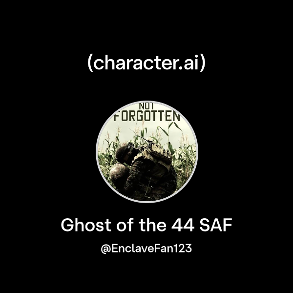 Chat with Ghost of the 44 SAF | character.ai | AI Chat, Reimagined–Your ...
