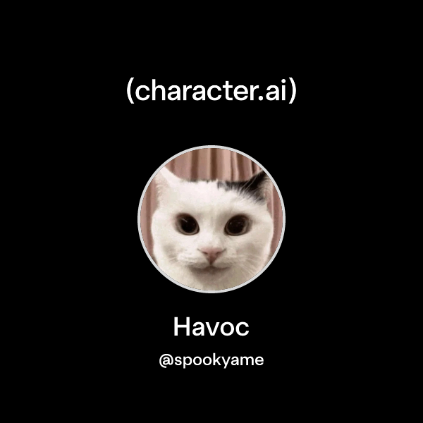 Chat with Havoc | character.ai | Personalized AI for every moment of ...
