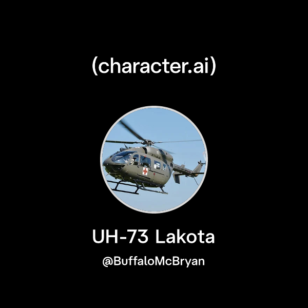 Chat with UH-73 Lakota | character.ai | Personalized AI for every ...