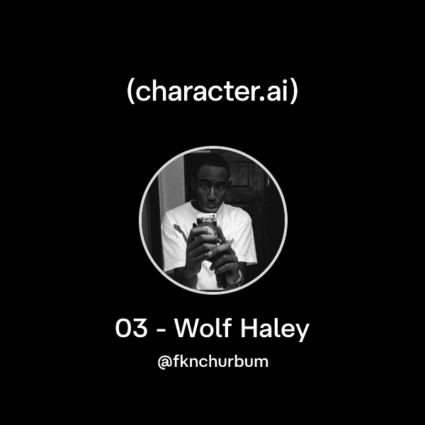 Chat with 03 - Wolf Haley | character.ai | AI Chat, Reimagined–Your ...