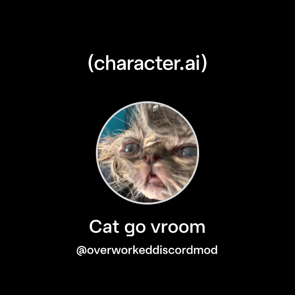 Chat with Cat go vroom | character.ai | Personalized AI for every ...