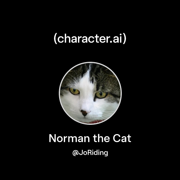 Chat with Norman the Cat | character.ai | Personalized AI for every ...