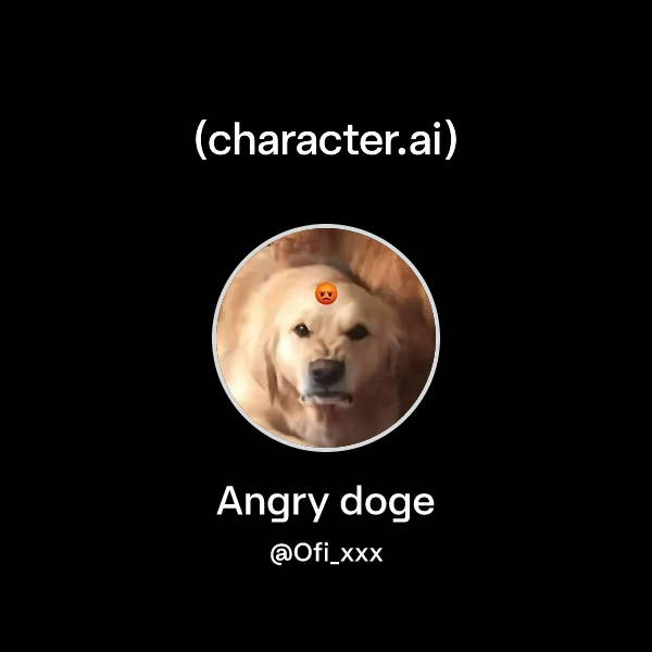 Chat with Angry doge | character.ai | AI Chat, Reimagined–Your Words ...