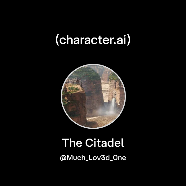 Chat with The Citadel | character.ai | AI Chat, Reimagined–Your Words ...