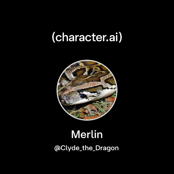 Chat with Merlin | character.ai | AI Chat, Reimagined–Your Words. Your ...