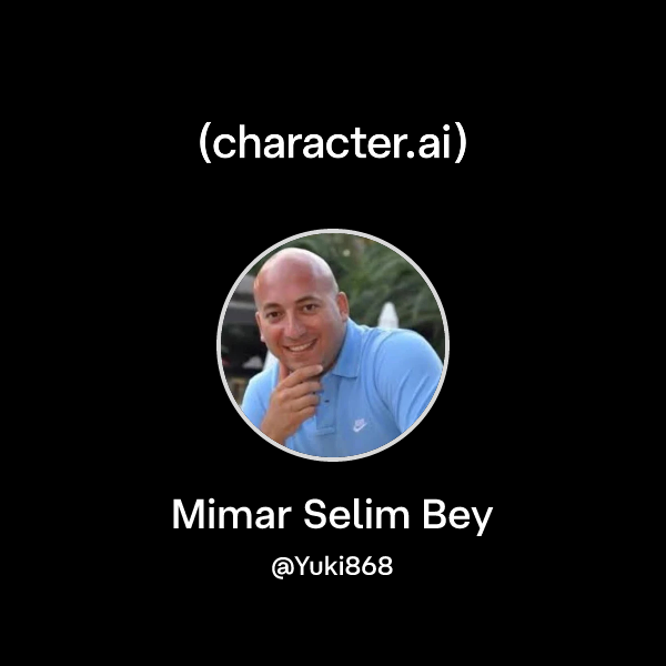 Chat with Mimar Selim Bey | character.ai | AI Chat, Reimagined–Your ...