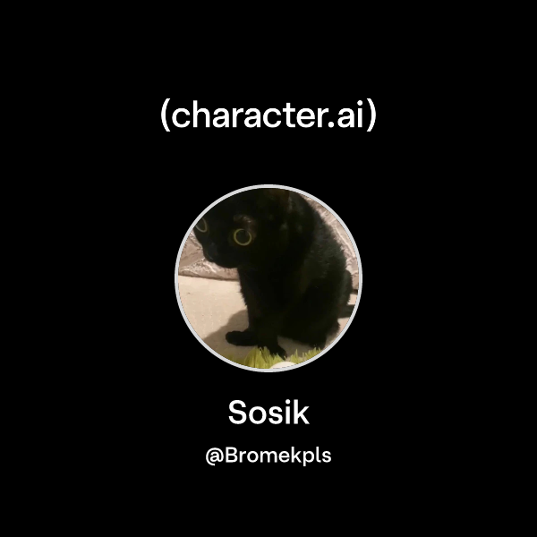 Chat with Sosik | character.ai | AI Chat, Reimagined–Your Words. Your ...
